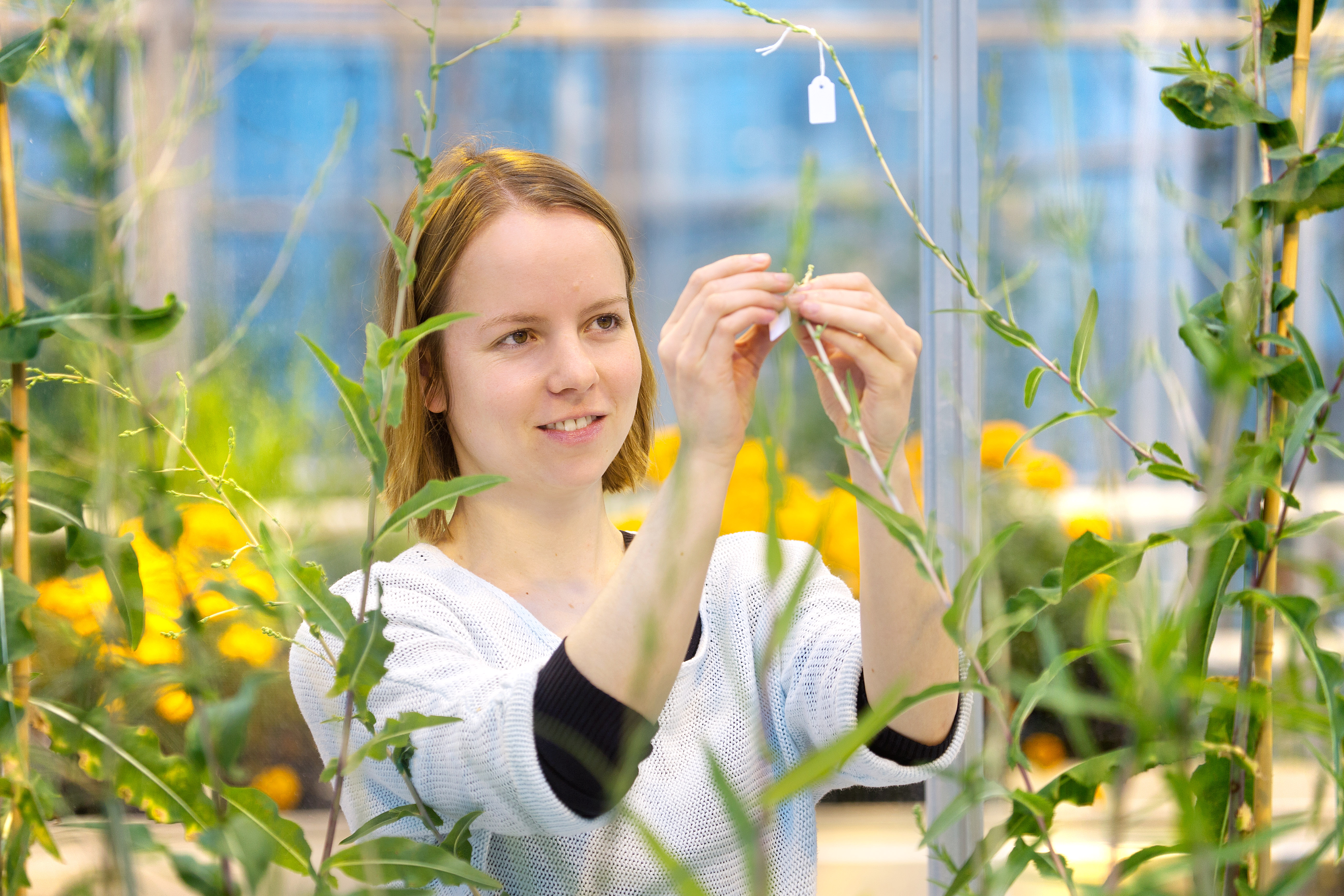 Sowing Seeds of Knowledge - Groen Kennisnet